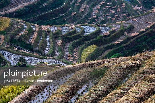 Rice terraces, Lonji, China - Stock Image - Everypixel