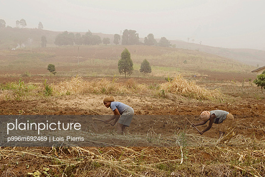Women Work The Farms Alone - Stock Image - Everypixel