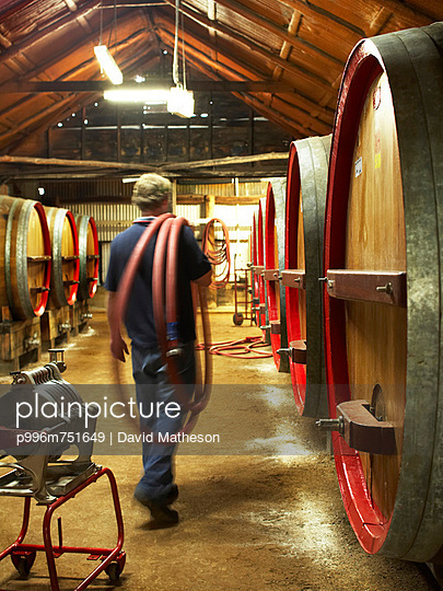 A Man With A Hose Over His Shoulder Walks Through A Wine Cellar ...