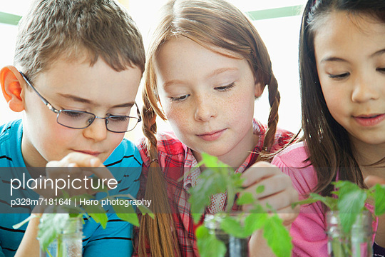 Elementary students discovering plants. - Stock Image - Everypixel