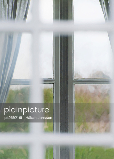 Transparent windows Images - Search Images on Everypixel