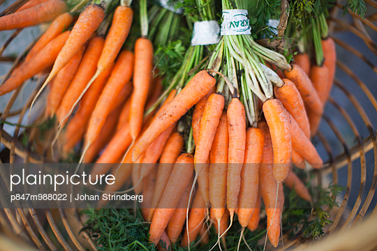 Bundles Of Organic Carrots - Stock Image - Everypixel