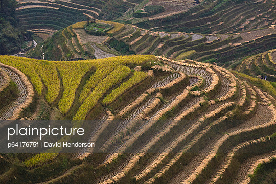 Rice terraces, Lonji, China - Stock Image - Everypixel