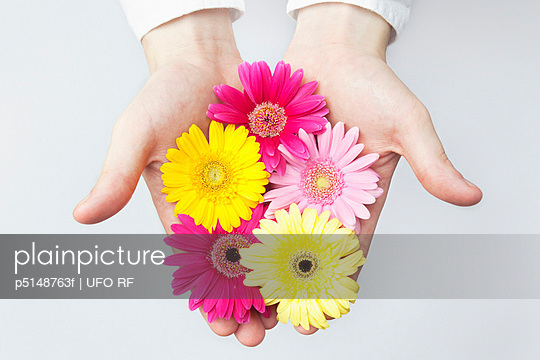 Hand giving a flower Images - Search Images on Everypixel