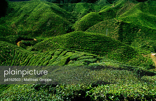 green hilly landscape - Stock Image - Everypixel