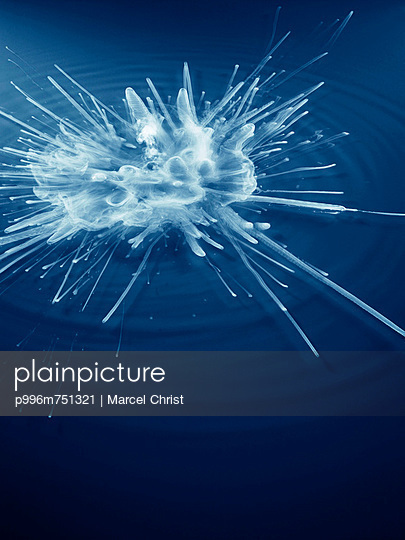 Still-Life High Impact Explosion - Stock Image - Everypixel