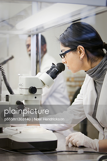 Indian scientist using microscope in laboratory - Stock Image - Everypixel
